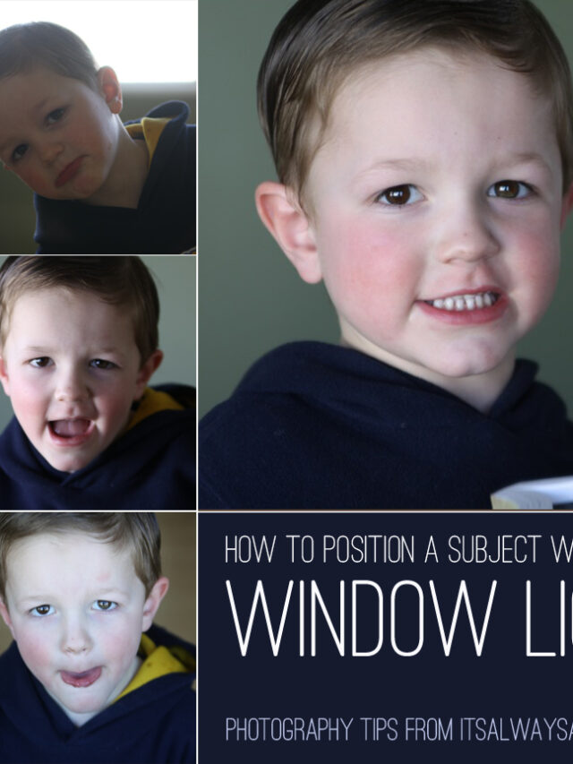 Photograph: Using Window Light Story - It's Always Autumn