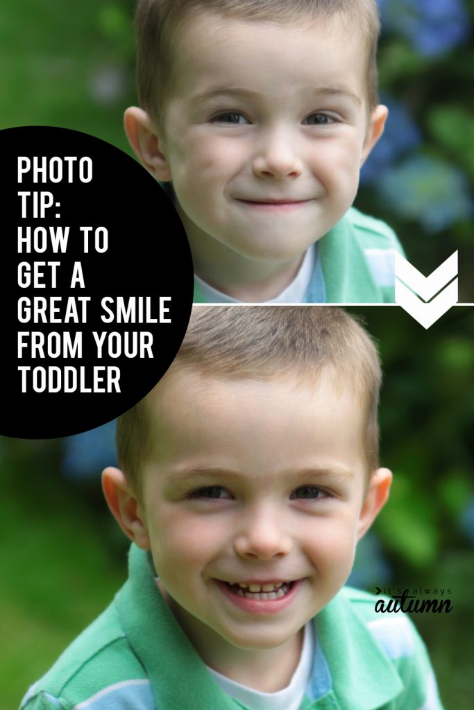 how to get great photos of your toddler & get them to sit still