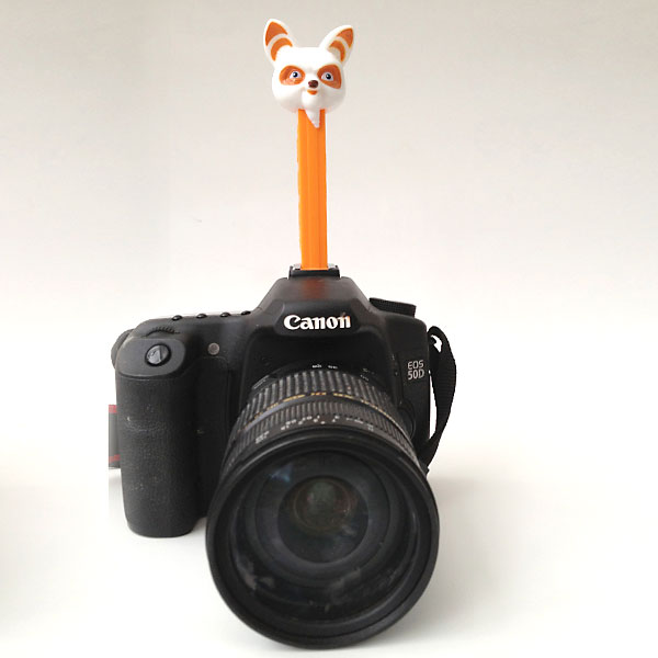 beginning photography tips Archives - Page 2 of 2 - It's Always Autumn