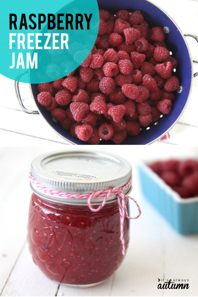 Best ever homemade raspberry freezer jam {it's so easy!} - It's Always ...
