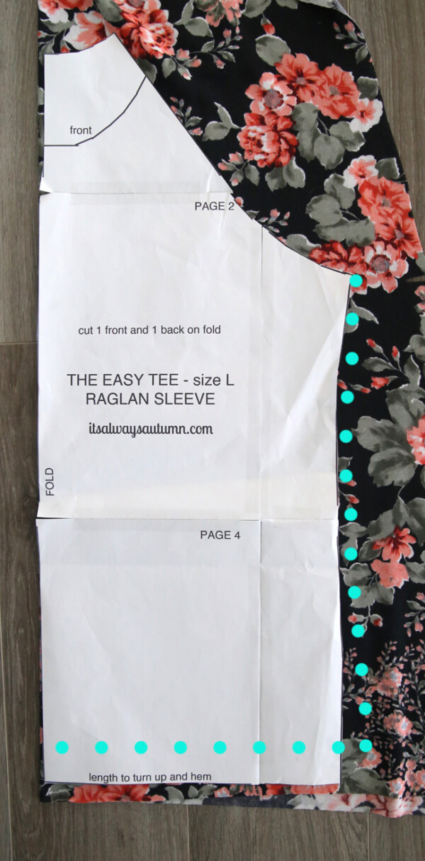 long sleeve raglan sweatshirt | free sewing pattern - It's Always Autumn