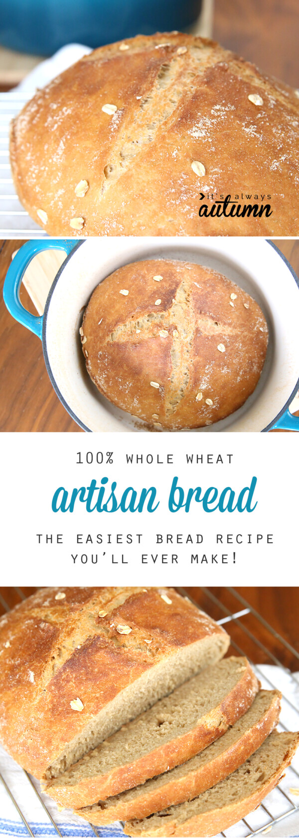 whole wheat artisan bread {easiest bread recipe ever} - It's Always Autumn