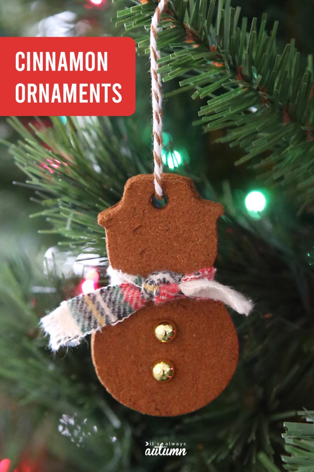 Easy Cinnamon Ornaments {only 2 ingredients!} - It's Always Autumn