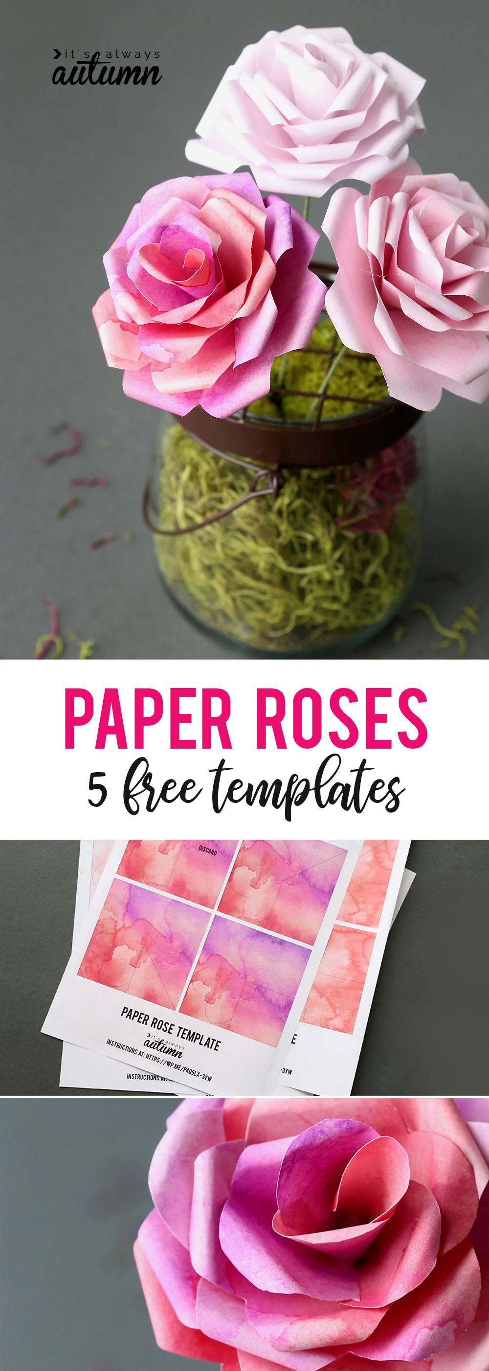 Make Gorgeous Paper Roses With This Free Paper Rose Template It s 