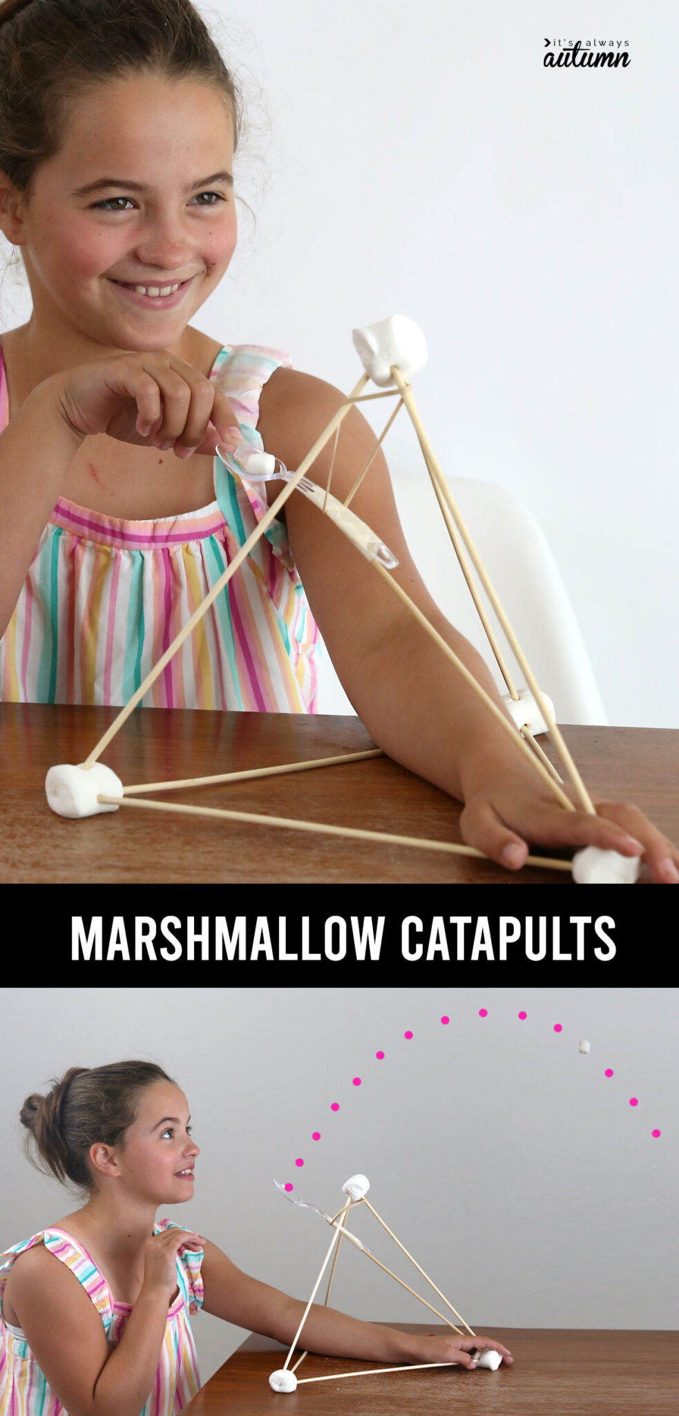 How to Make a Marshmallow Catapult - It's Always Autumn