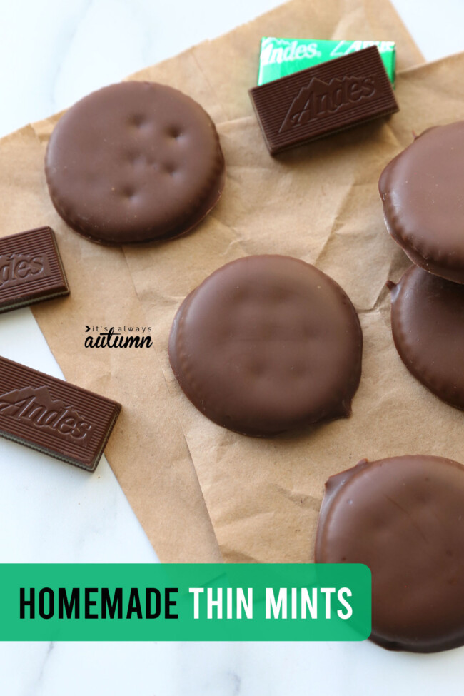 Homemade Thin Mints {Only 2 Ingredients} - It's Always Autumn