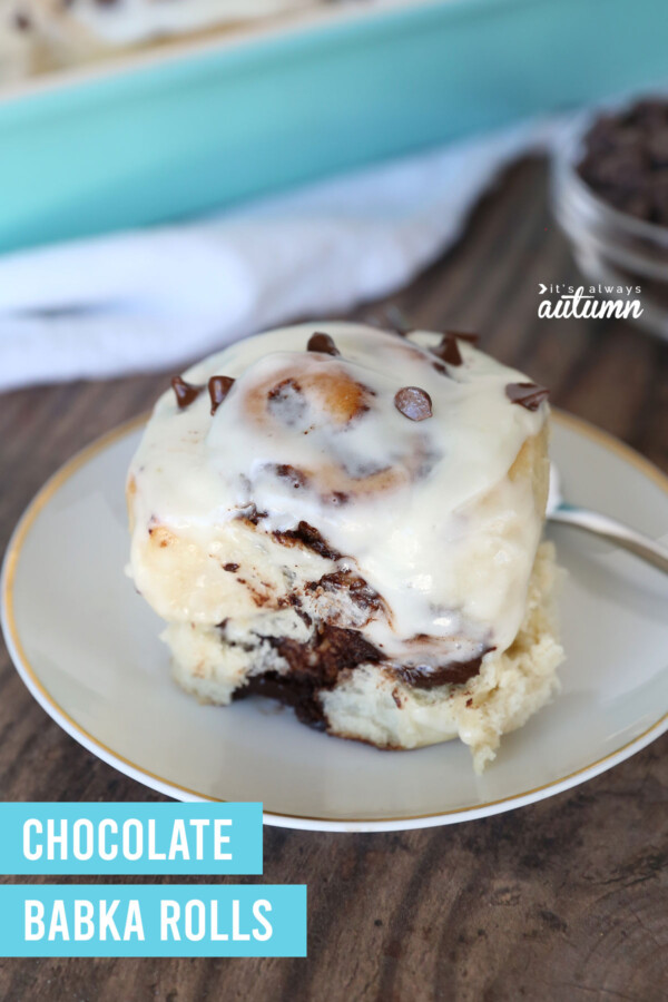 Chocolate Babka Rolls - It's Always Autumn