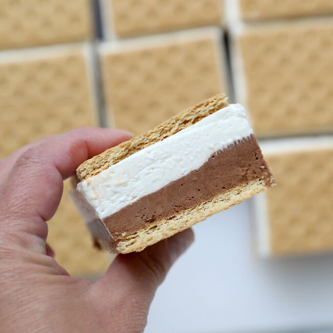 Frozen S'mores - It's Always Autumn