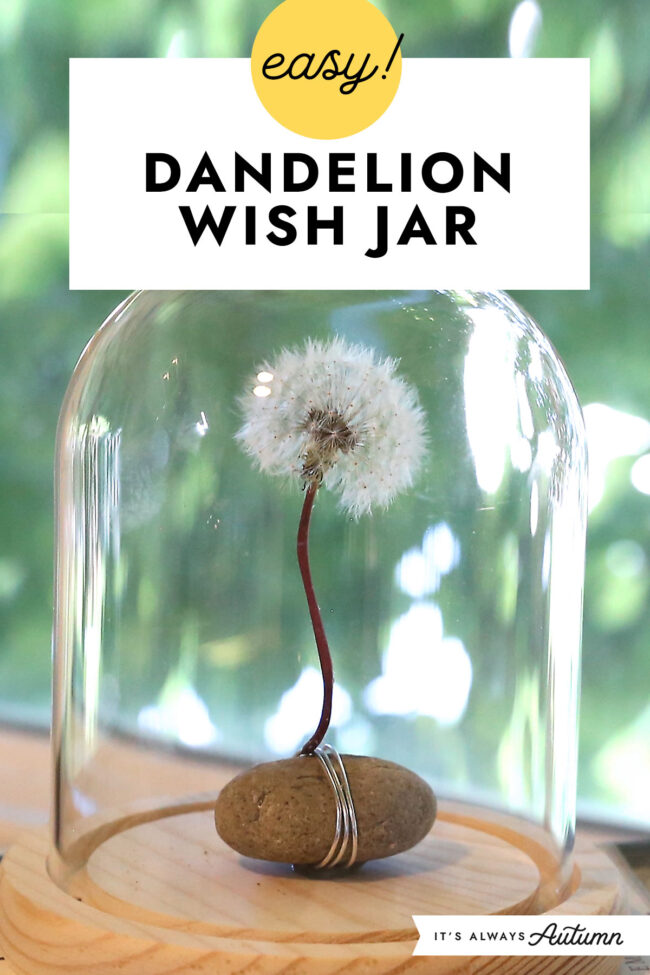 Everlasting Dandelion Wish Jar - It's Always Autumn