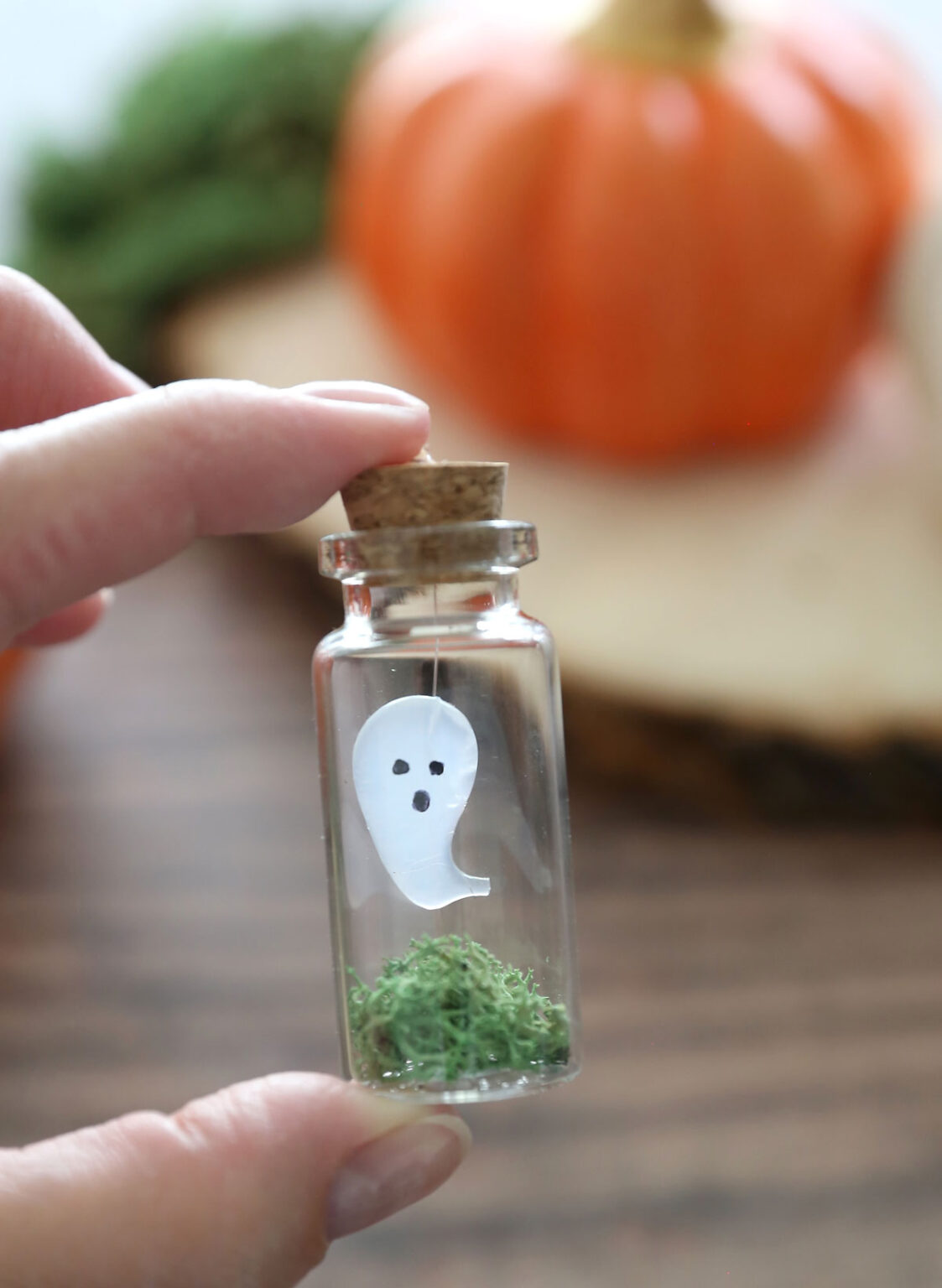 Pet Ghost Halloween Craft - It's Always Autumn