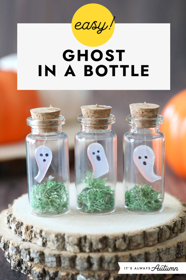 Pet Ghost Halloween Craft - It's Always Autumn