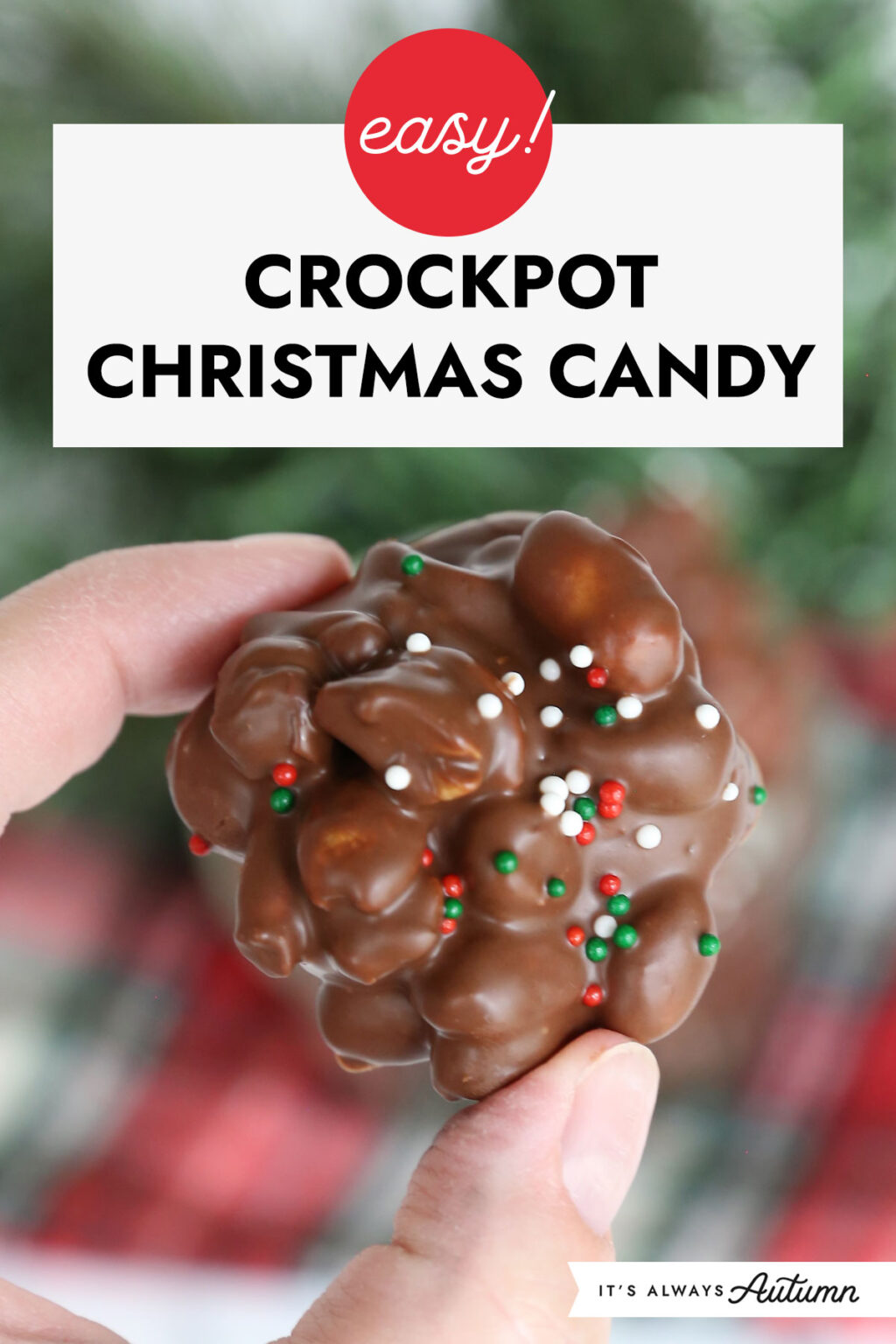 Crockpot Candy [Peanuts + Caramel + Pretzels] - It's Always Autumn