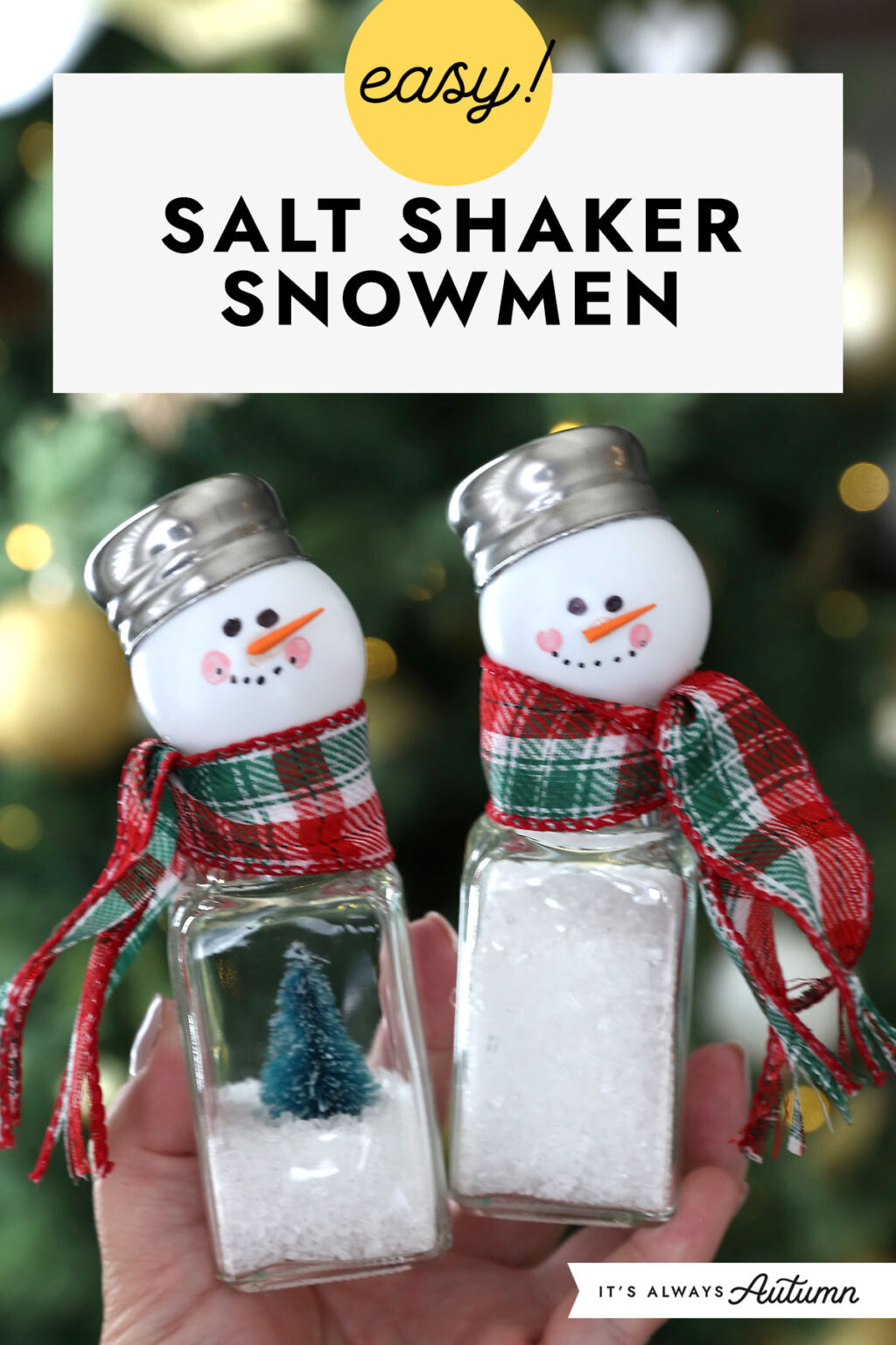 Salt Shaker Snowman Craft - It's Always Autumn