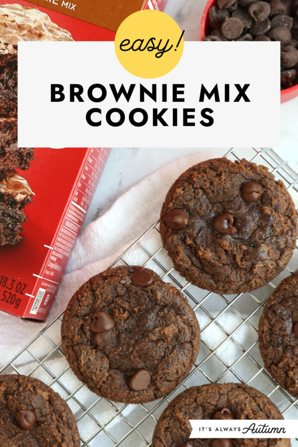 Fudgy Brownie Cookies - It's Always Autumn